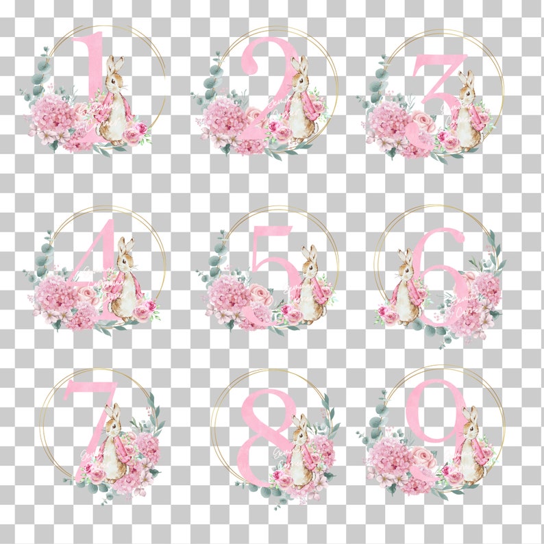 Peter Rabbit Bundle Ages 1-9, Flopsy Bunny PNG, Animal Design, Flopsy ...