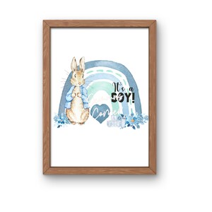 Rainbow Peter the Rabbit Baby Boy PNG, Animal Design, Its A Boy PNG ...