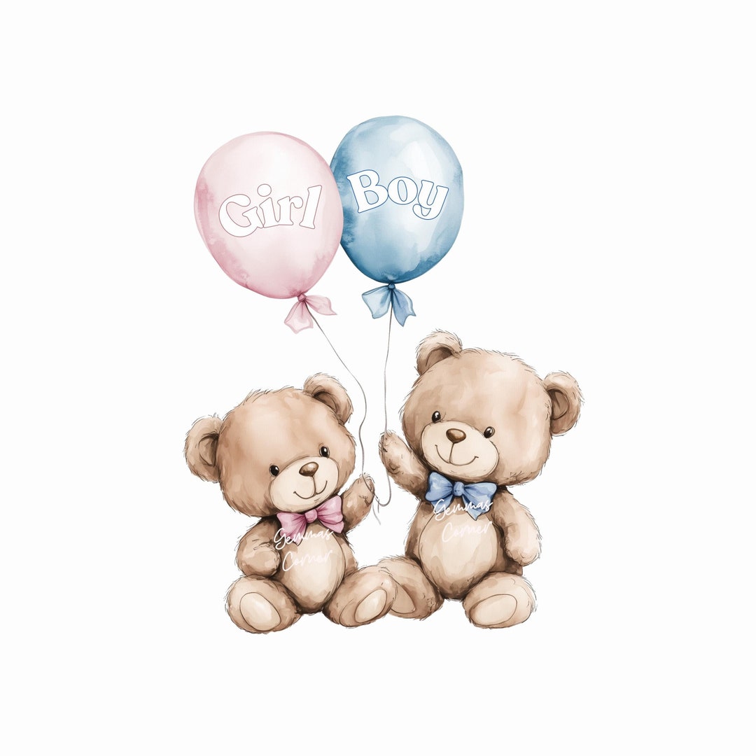 Pink & Blue Teddy Bear PNG, Gender Reveal Girl or Boy What Will Baby Be? Pink Blue Bears ...