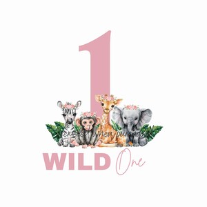 Baby Safari Animals Kids Car PNG, Watercolor Baby Animals, Pink Wild ...