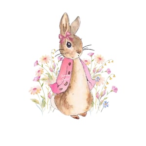 Peter Rabbit Bundle Ages 1-9 A-Z, Flopsy Bunny PNG, Set Digital Images ...