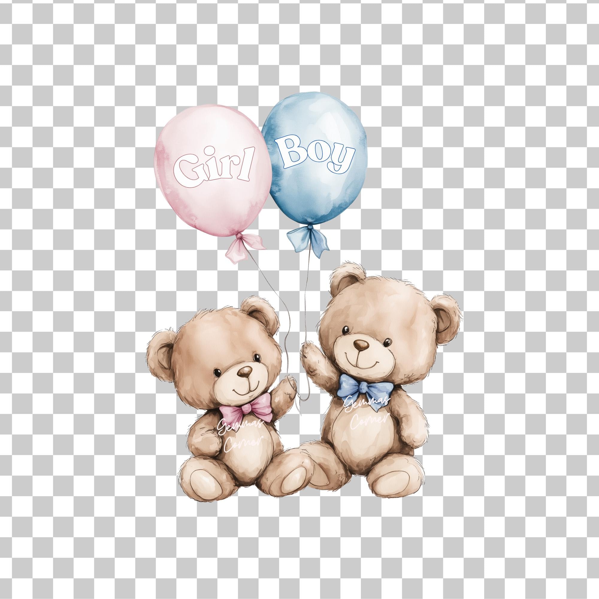 Pink & Blue Teddy Bear PNG, Gender Reveal Girl or Boy What Will Baby Be ...