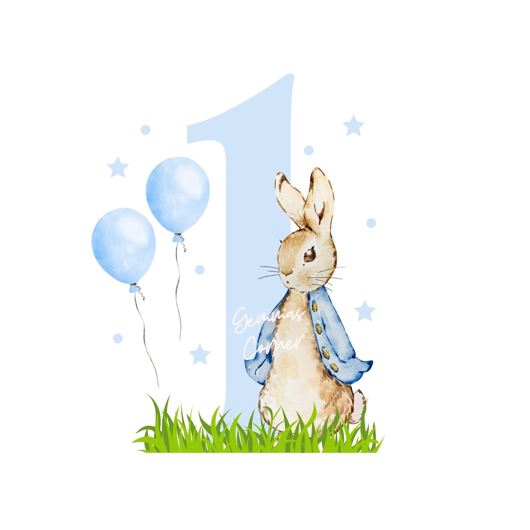 Peter the Rabbit PNG, Peter Rabbit Age 1 PNG, Instant Digital Download ...