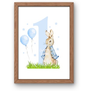 Peter the Rabbit PNG, Peter Rabbit Age 1 PNG, Instant Digital Download ...