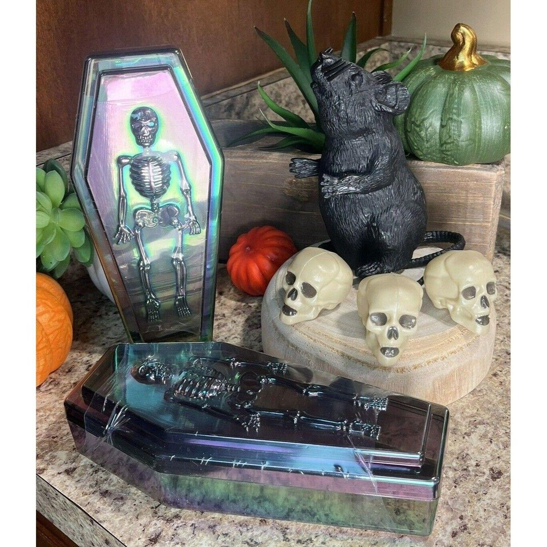2 Pc Coffin Treat Box Container Plastic Halloween Favor Box 7.6 ...