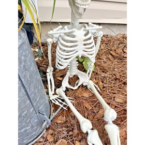 32" Tall Skeleton Halloween Hanging Skeleton Eyes Party Prop Decor S26a ...