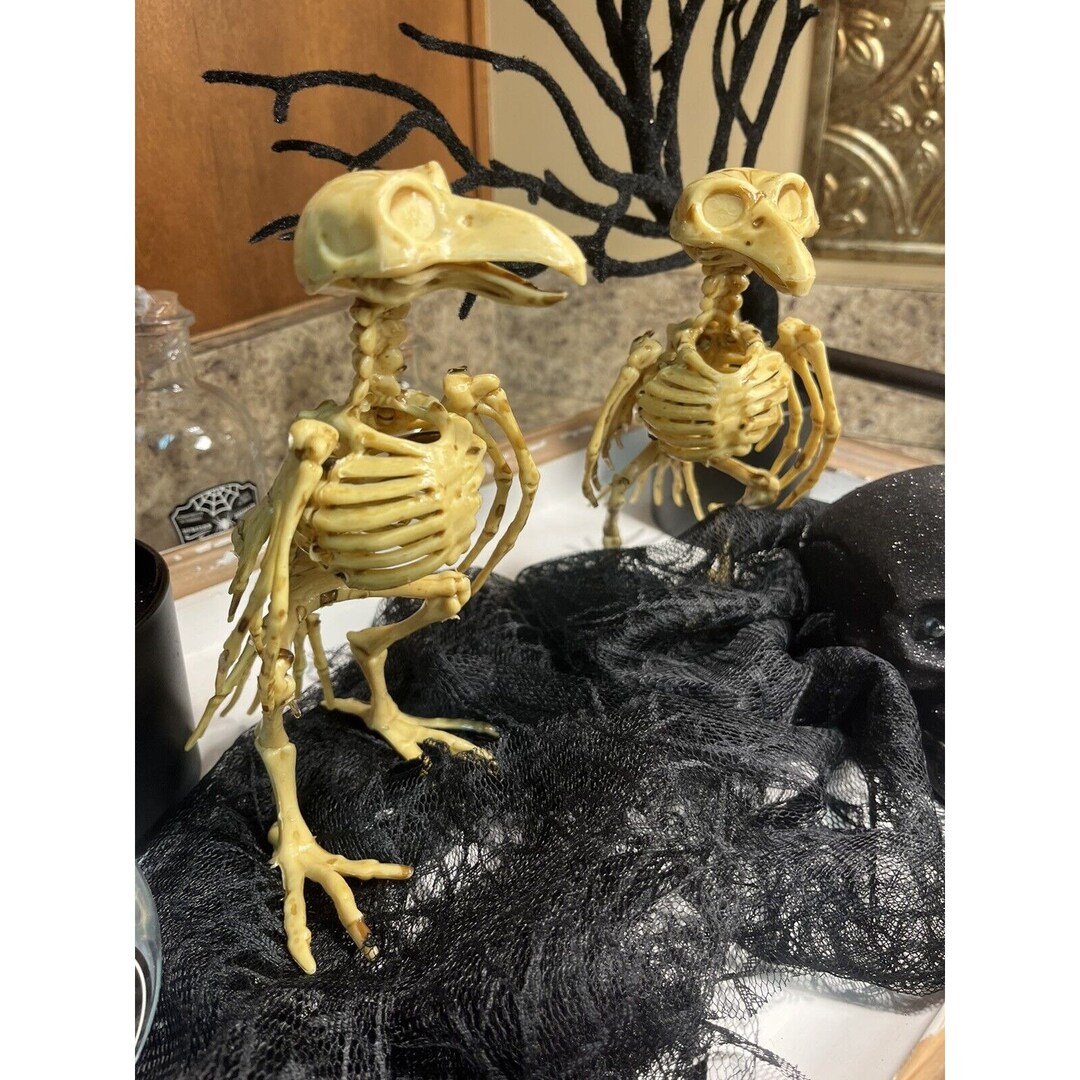 2x Halloween Skeleton Birds Ravens Crows Plastic Bones - Etsy