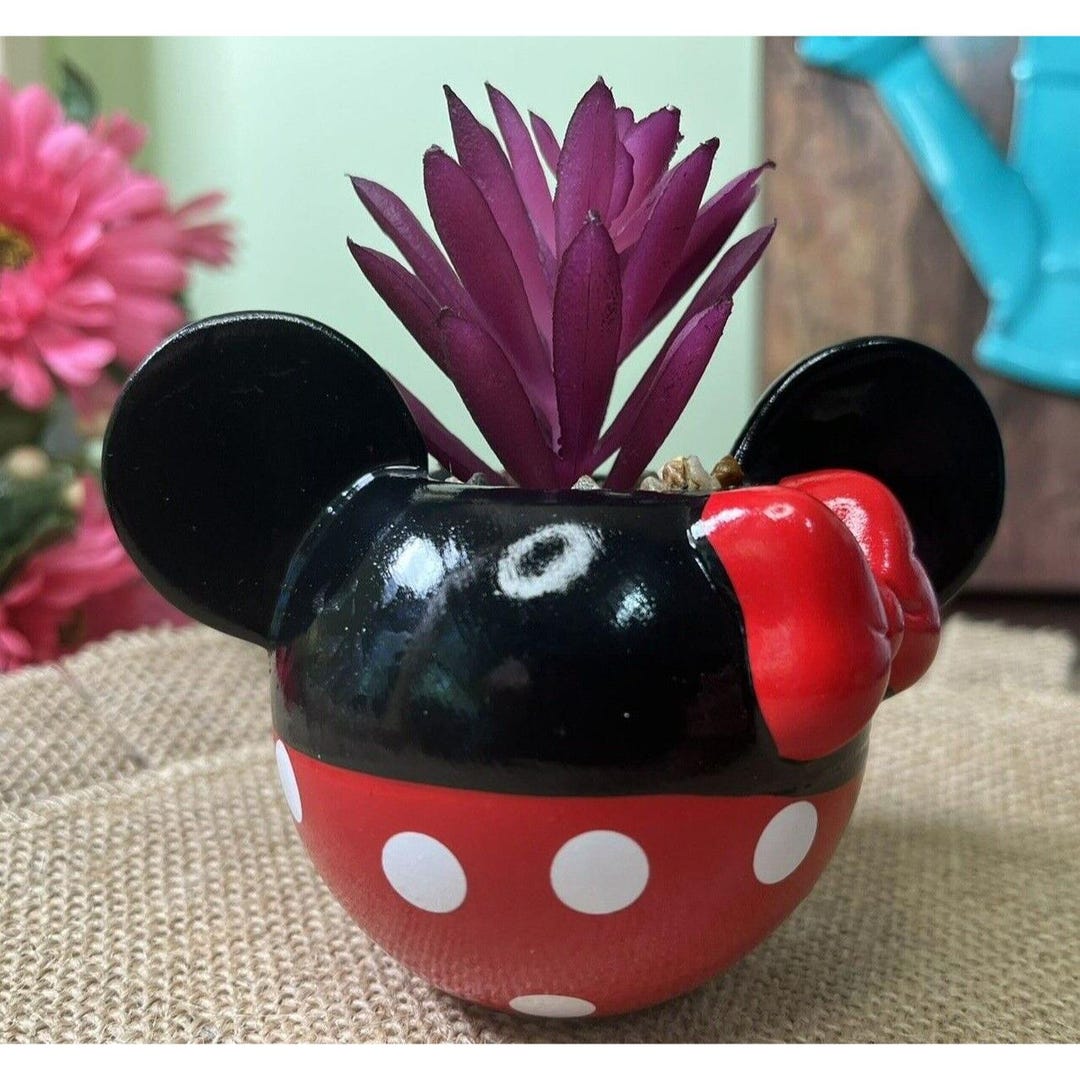 Disney Minnie Mouse 4.5" Red Ceramic Mini Planter Faux Succulent U102 ...