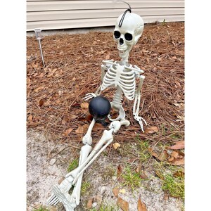 32" Tall Skeleton Halloween Hanging Skeleton Eyes Party Prop Decor S26a ...