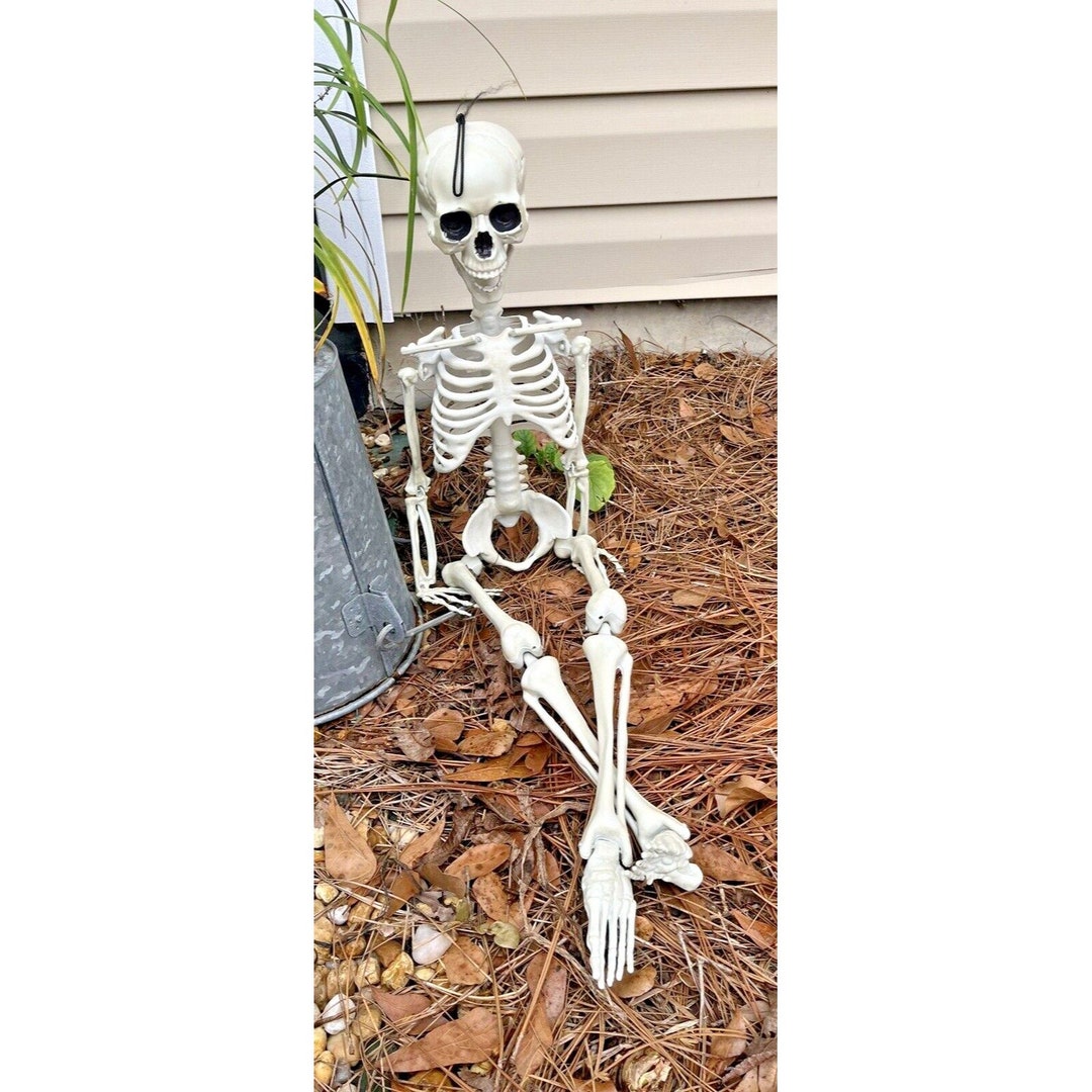 32" Tall Skeleton Halloween Hanging Skeleton Eyes Party Prop Decor S26a ...