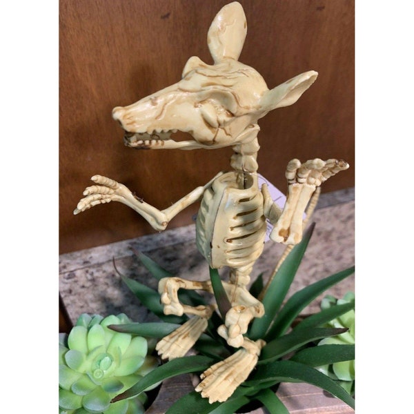 Rat Skeleton - Etsy
