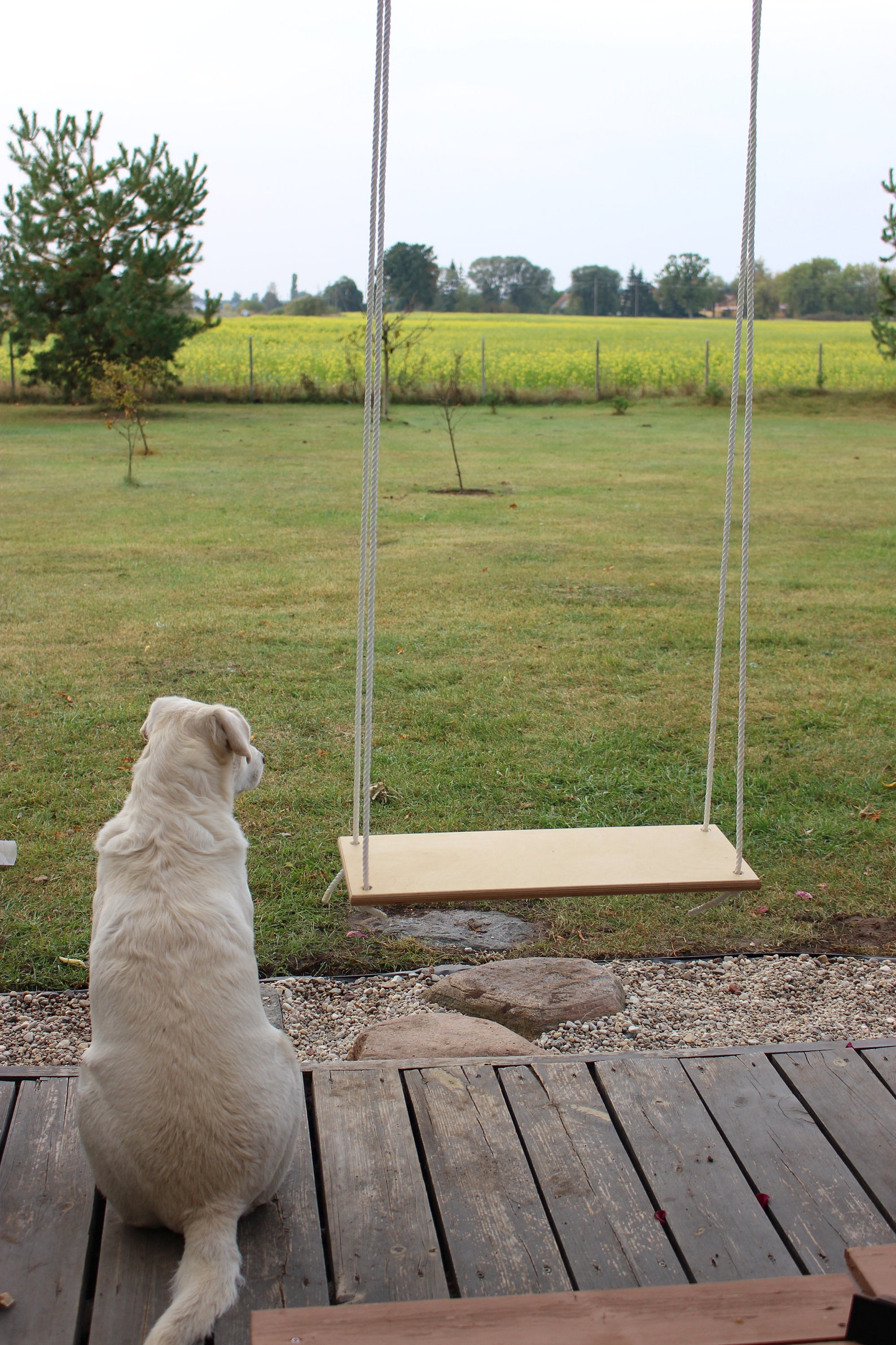 Birch Plywood Swing With Rope for Adult or Children Wooden - Etsy