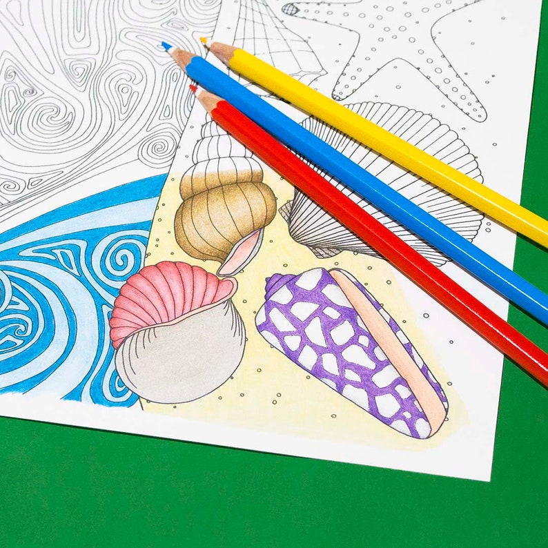 Seashell Coloring Printable Coloring JPG/PDF Seashells on | Etsy