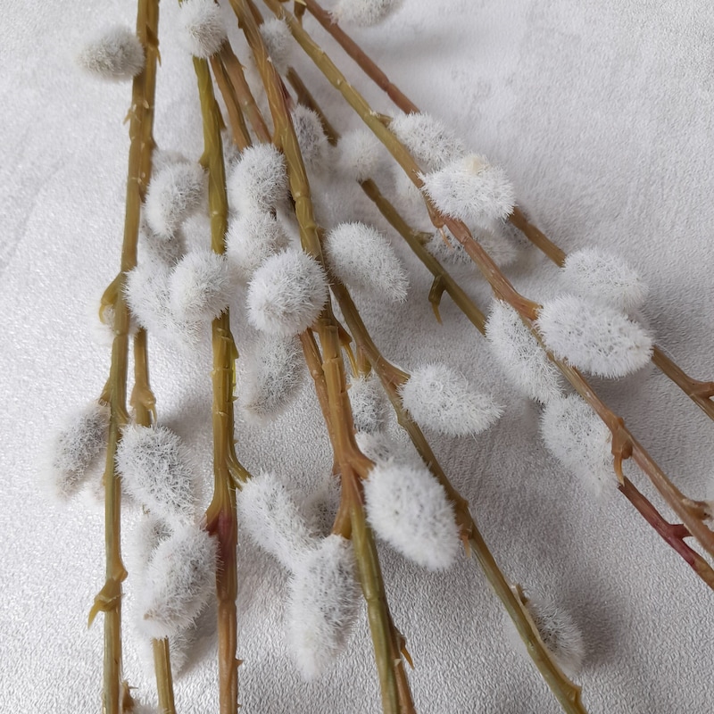Artifical Pussy Willows - Etsy UK