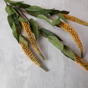 Artificial Veronica, Yellow Veronica, Artificial Speedwell, Yellow ...