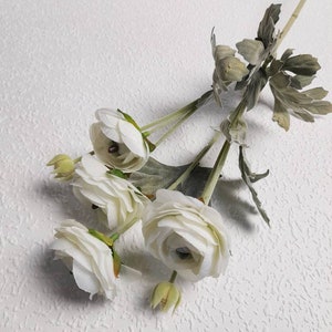 Artificial Cream Ranunculus Stem: Faux Ivory Floral Spray - Etsy
