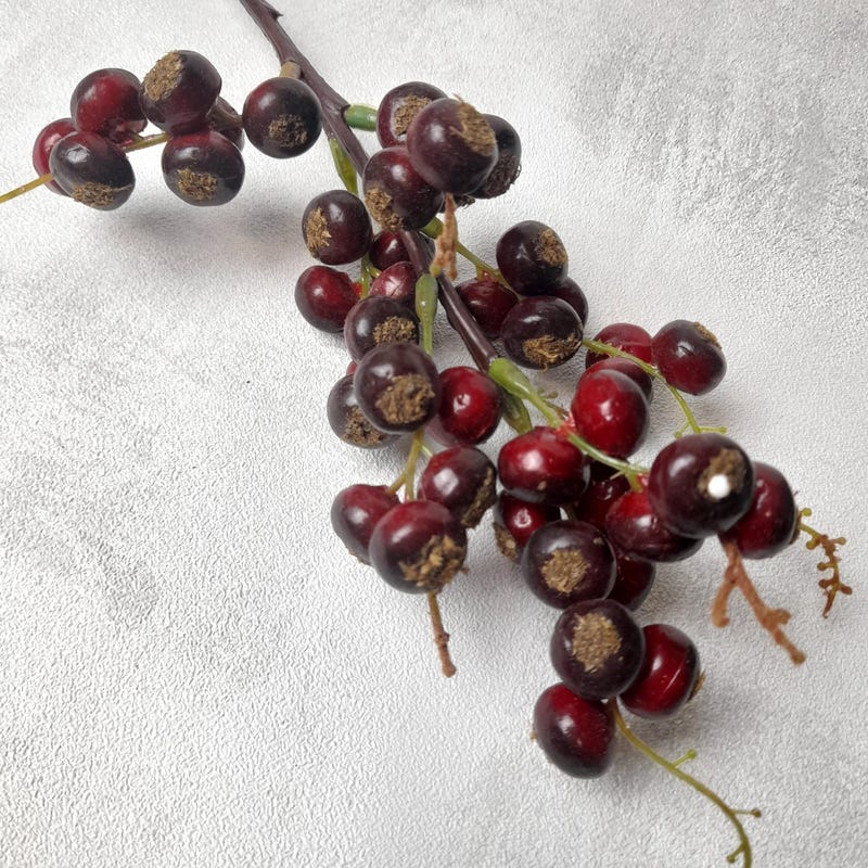 Red Berry Stems - Etsy