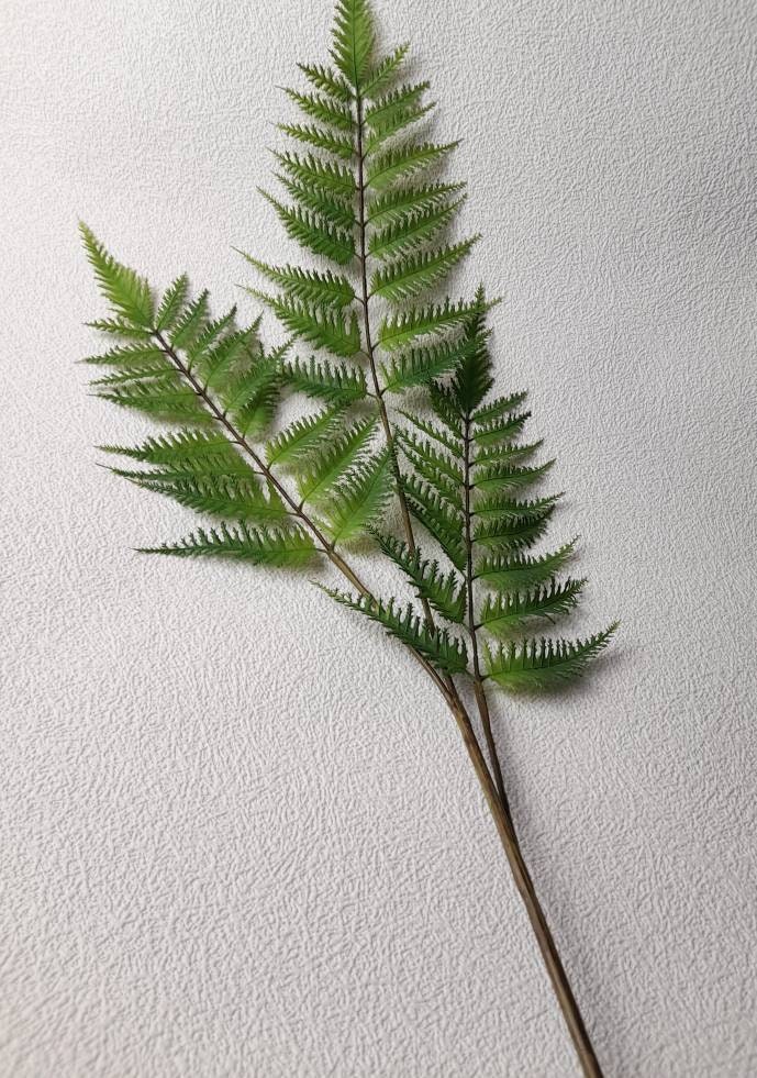 Artificial Fern Fern Leaf Foliage Wall Tropical Home Decor - Etsy UK
