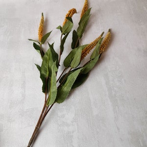 Artificial Veronica, Yellow Veronica, Artificial Speedwell, Yellow ...