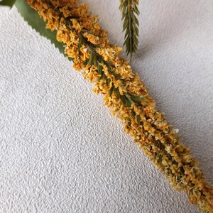 Artificial Veronica, Yellow Veronica, Artificial Speedwell, Yellow ...