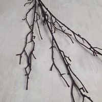 Twisted Hazel Branches: Natural Dried Branch Decor - Etsy