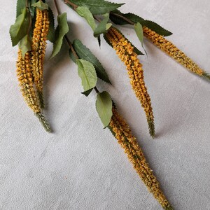 Artificial Veronica, Yellow Veronica, Artificial Speedwell, Yellow ...