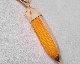 Corn on the Cob Prop - Etsy