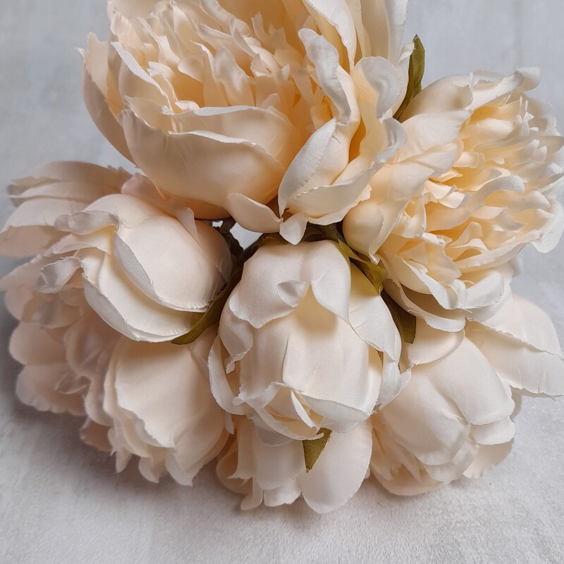 Peach Peony - Etsy
