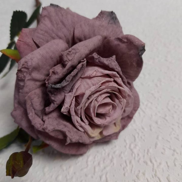 Mauve Roses - Etsy