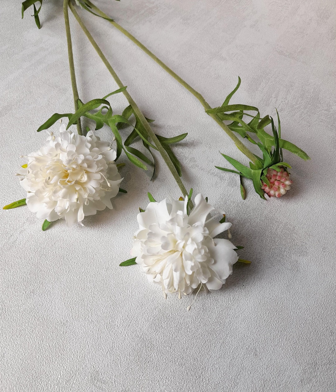 Artificial Scabiosa, White Scabiosa, White Flowers, Scabiosa ...
