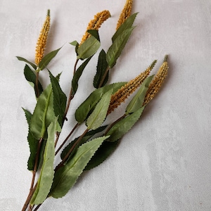 Artificial Veronica, Yellow Veronica, Artificial Speedwell, Yellow ...