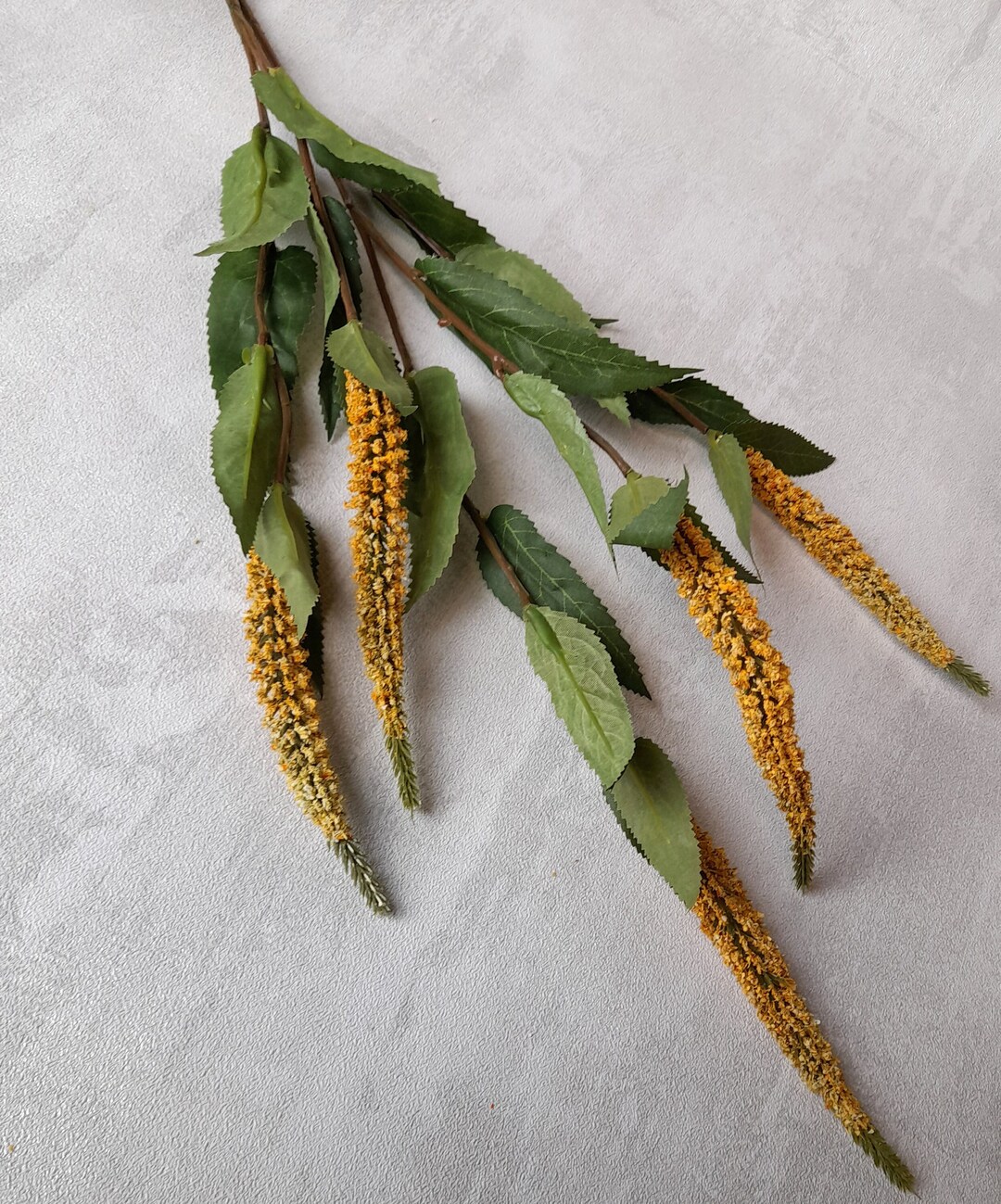 Artificial Veronica, Yellow Veronica, Artificial Speedwell, Yellow ...