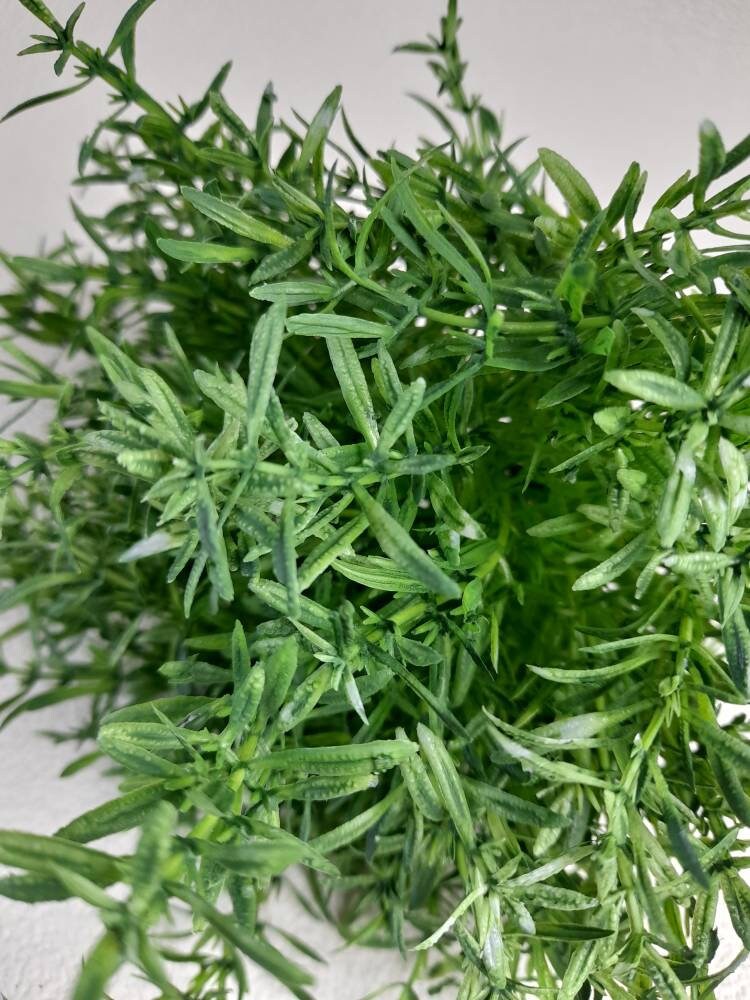 Artificial Rosemary Artificial Herbs Herb Bush Indoor - Etsy