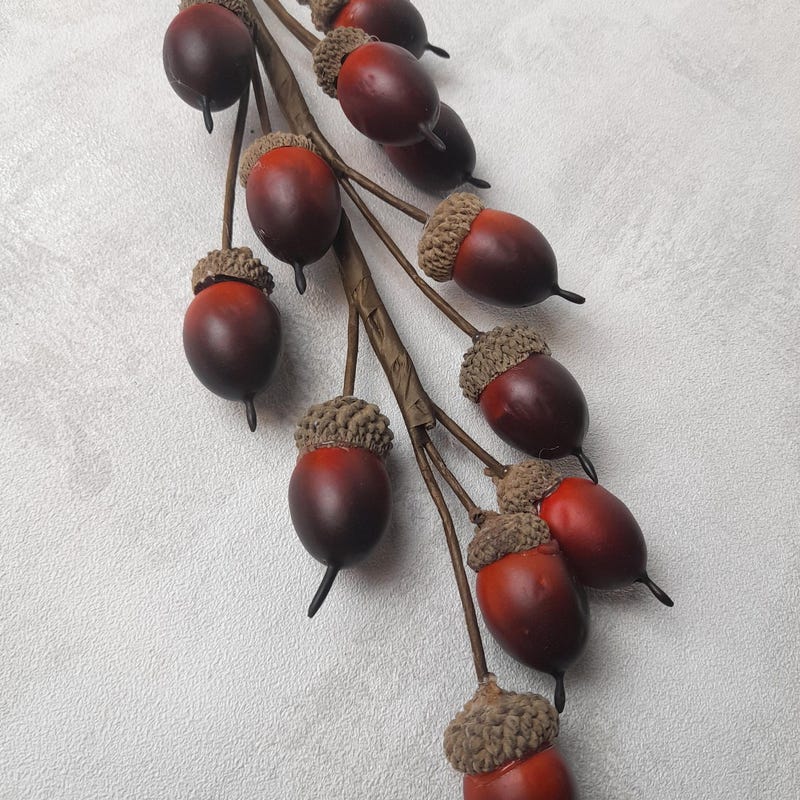 Acorn Decor - Etsy