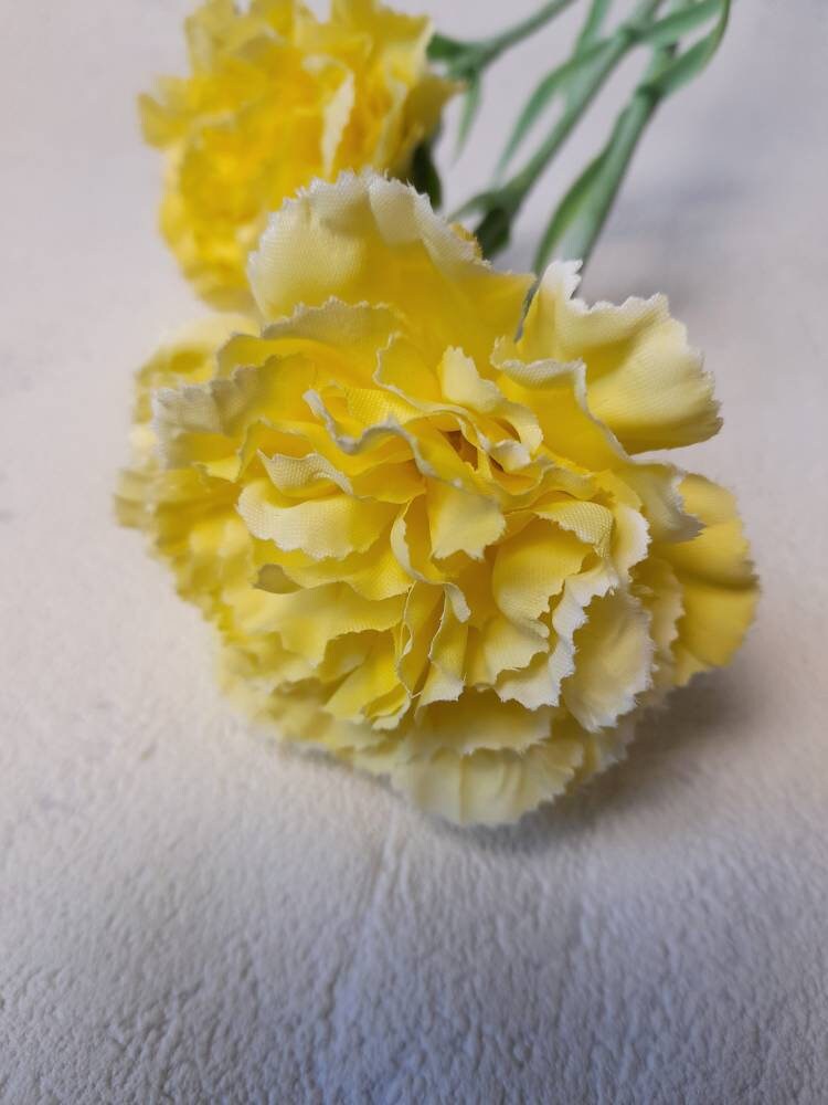 Flower Carnation Yellow