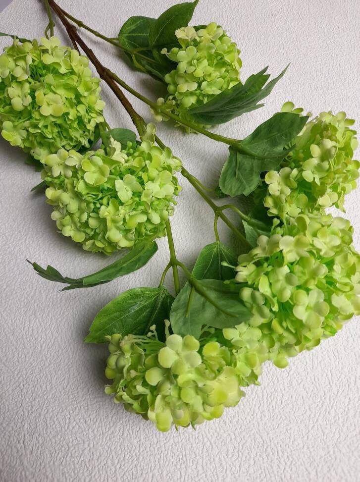 Green Viburnum Bouquet