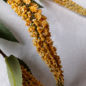 Artificial Veronica, Yellow Veronica, Artificial Speedwell, Yellow ...