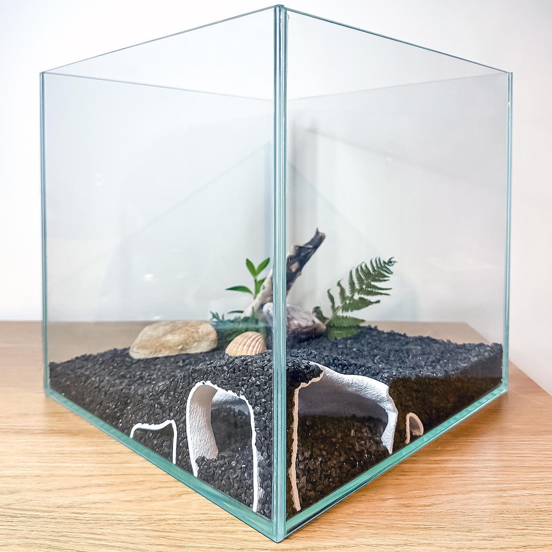 Corner Aquarium Cave for Pleco & Shrimp – Tall Tunnel Hideout | Fish ...