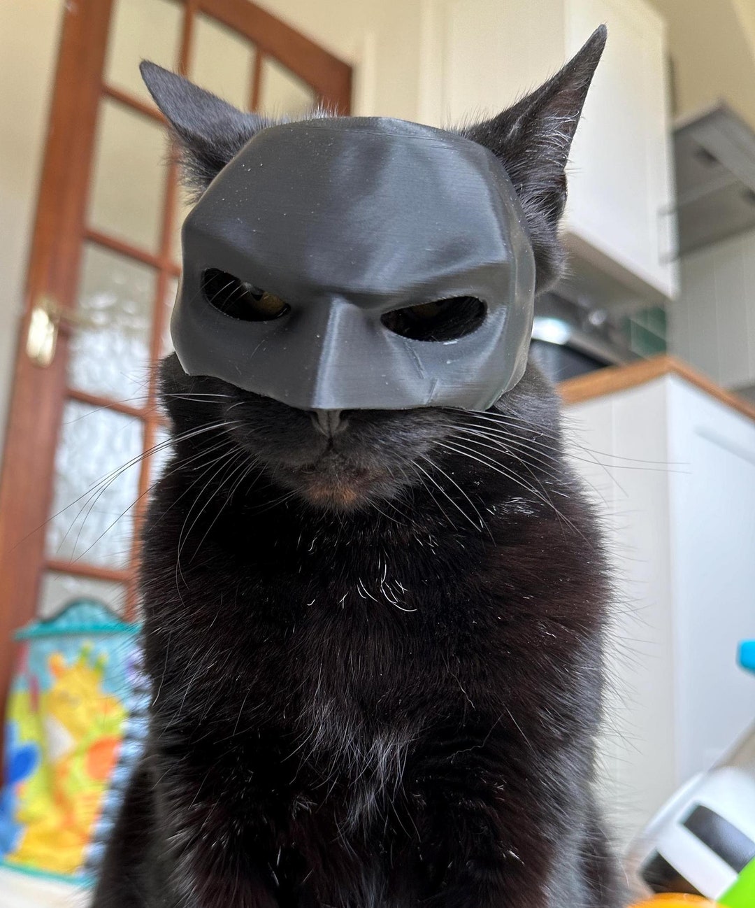 Bat Cat Cosplay Mask for Funny Pet Photos – Superhero Cat Costume ...