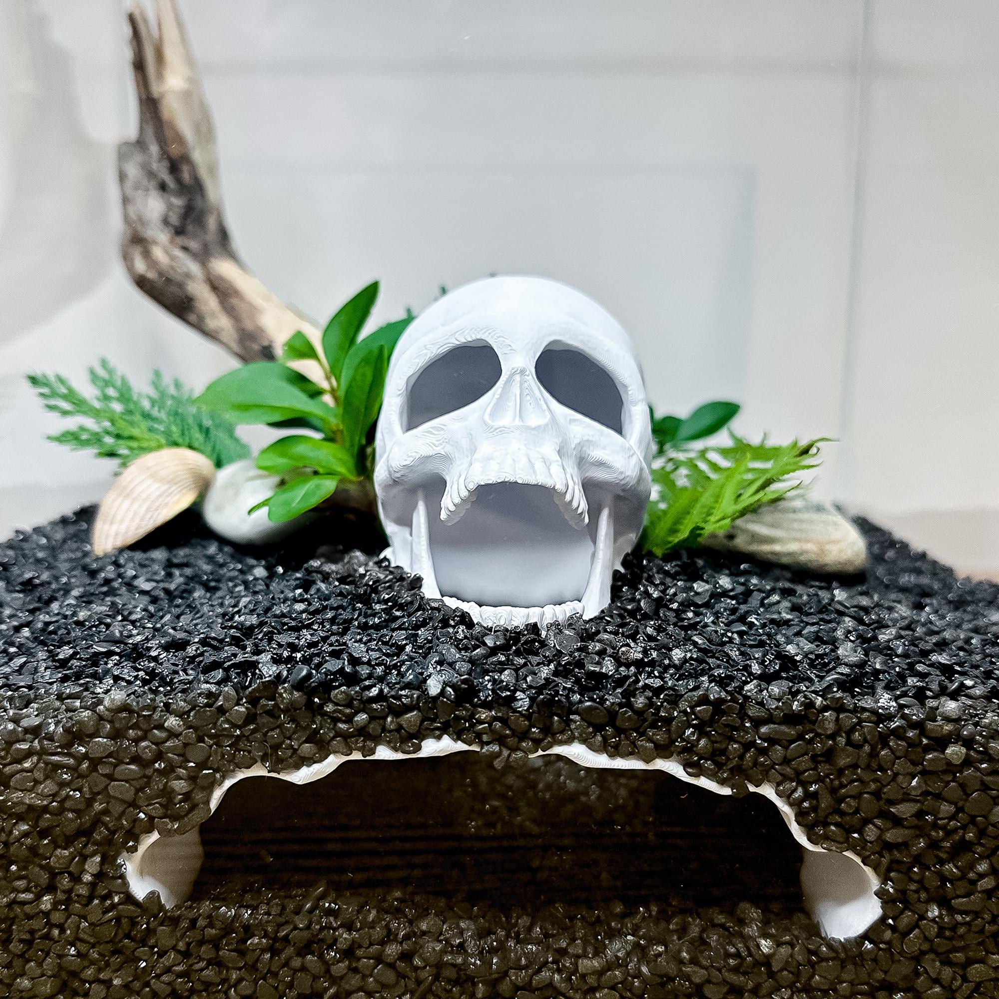 Skull Aquarium Cave - Gothic Fish Tank Tunnel Hide for Shrimp, Betta ...