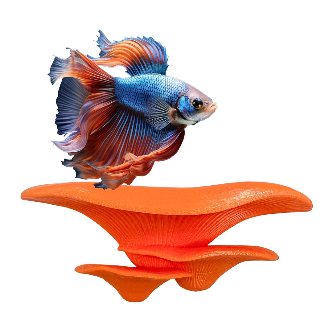 Floating Mushroom Aquarium Ledge - Betta Fish Platform, Shrimp Perch ...