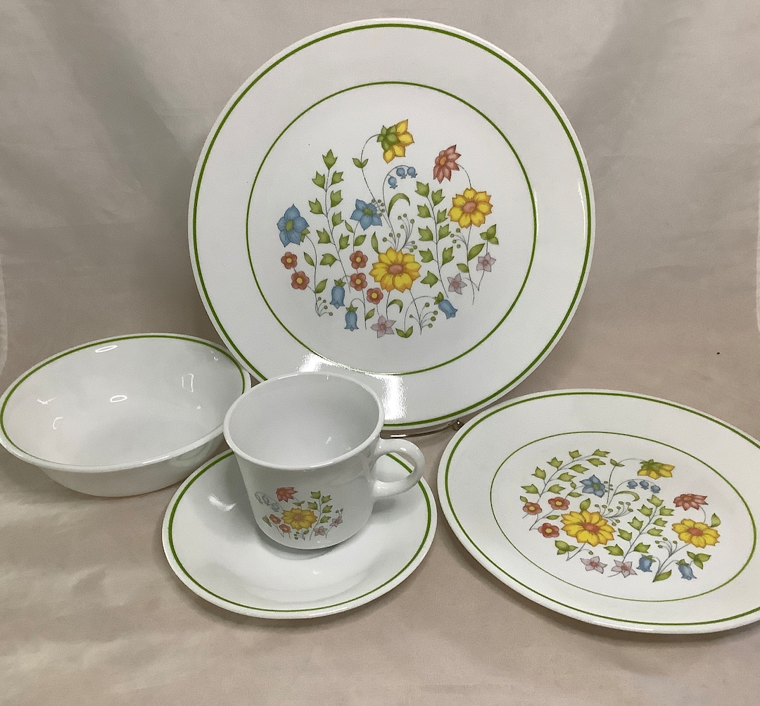 Corelle MEADOW Livingware Expressions by Corning Service for Four~ NOS ...