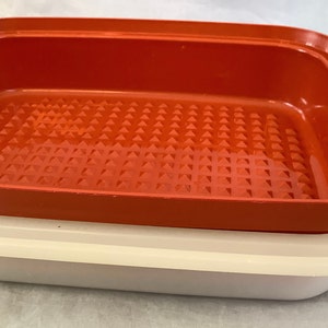 TUPPERWARE Season and Serve Large Sealed Meat Marinating Container Tall ...