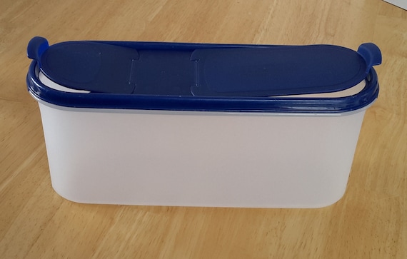 Large tupperware containers store