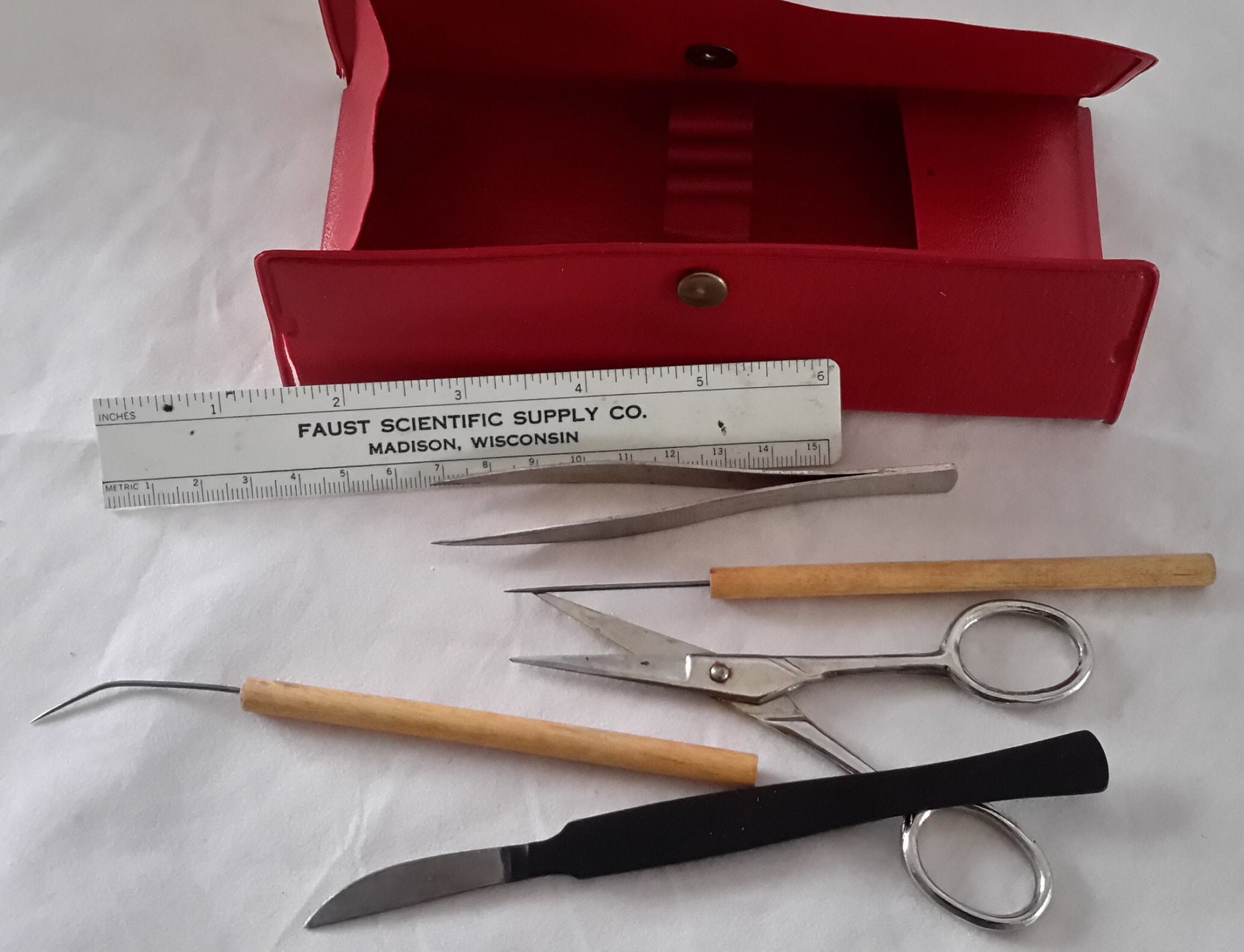 Classroom Dissection Kit Dissecting Tool Set for Home or - Etsy