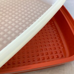 TUPPERWARE Season and Serve Large Sealed Meat Marinating Container Tall ...