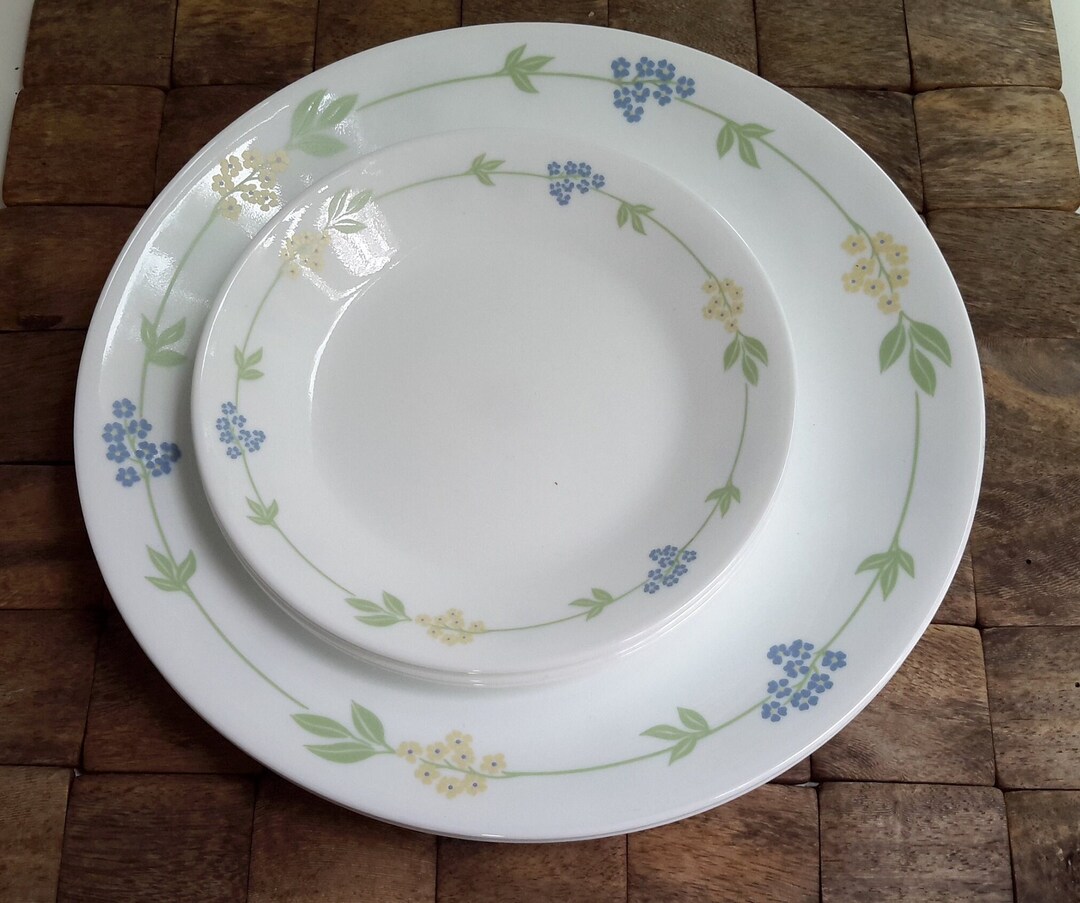 Corning Corelle Vitrelle Secret Garden Dinner or Small Dessert Plate ...