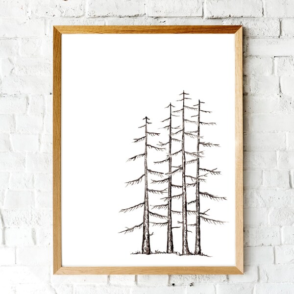 White Pine Tree Print - Etsy
