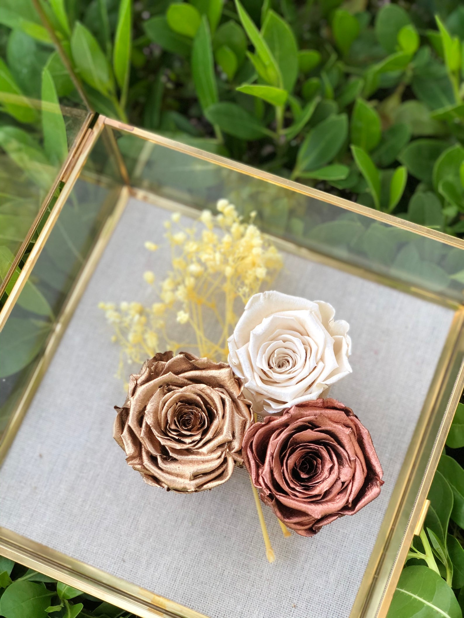 Eternity Roses in a Glass Box Metallic Roses in a Brass Box - Etsy