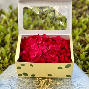 Large Preserved Hydrangeas, Wholesale Hydrangeas, 20 Gr Hydrangeas ...